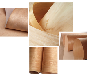 Leading Okoume Face Veneer Manufacturer - Gabon Timber Industry